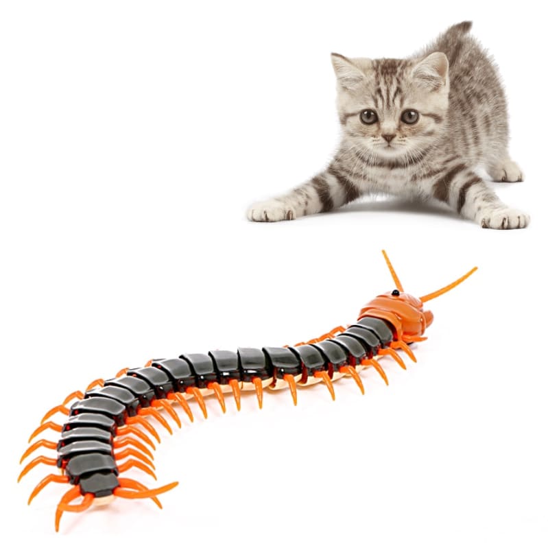 Remote Control Centipede Interactive Cat Toy | RC Centipede Toy for ...